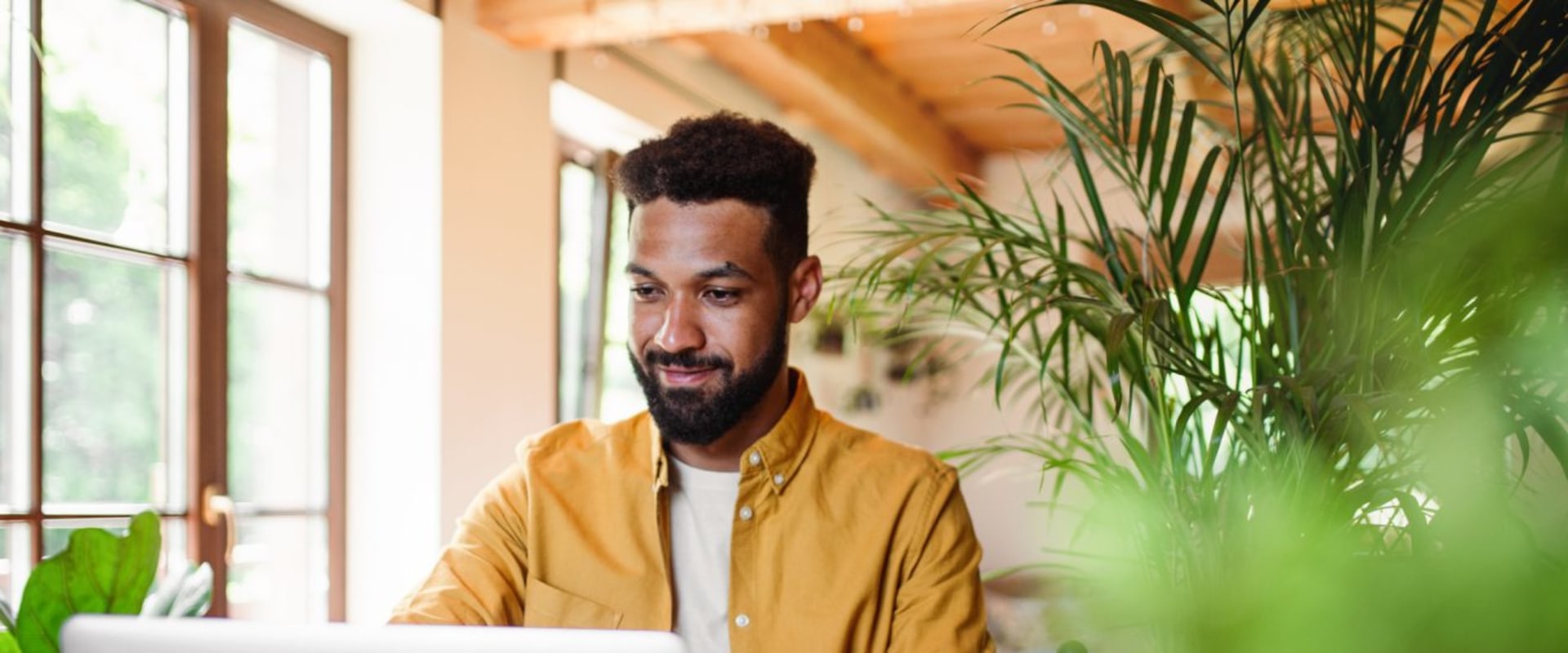 Understanding Software and Applications: A Comprehensive Guide