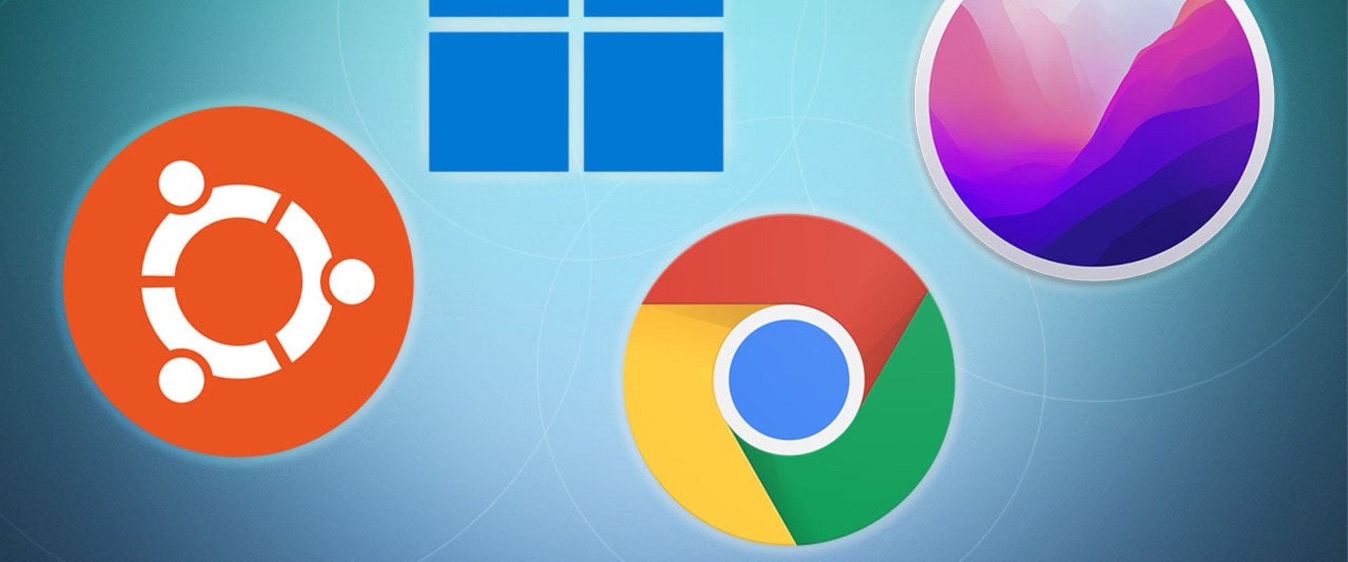 The Different Types of Software: A Comprehensive Guide for Users and ...